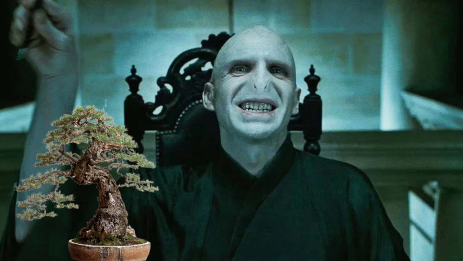 Et si Voldemort avait trouvé son Ikigai? – Ikigai-Box